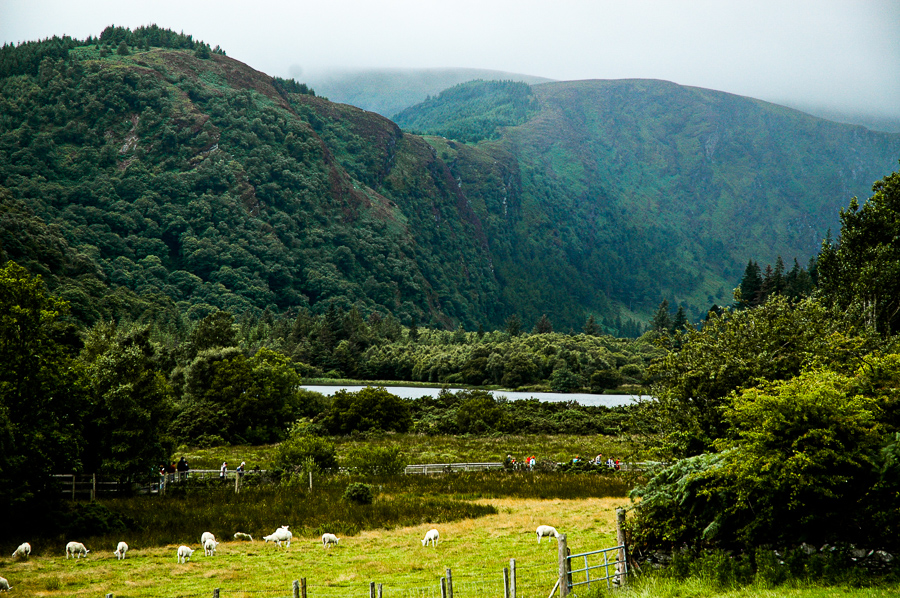 Rivendell Design - Europe Eyes - Web Design