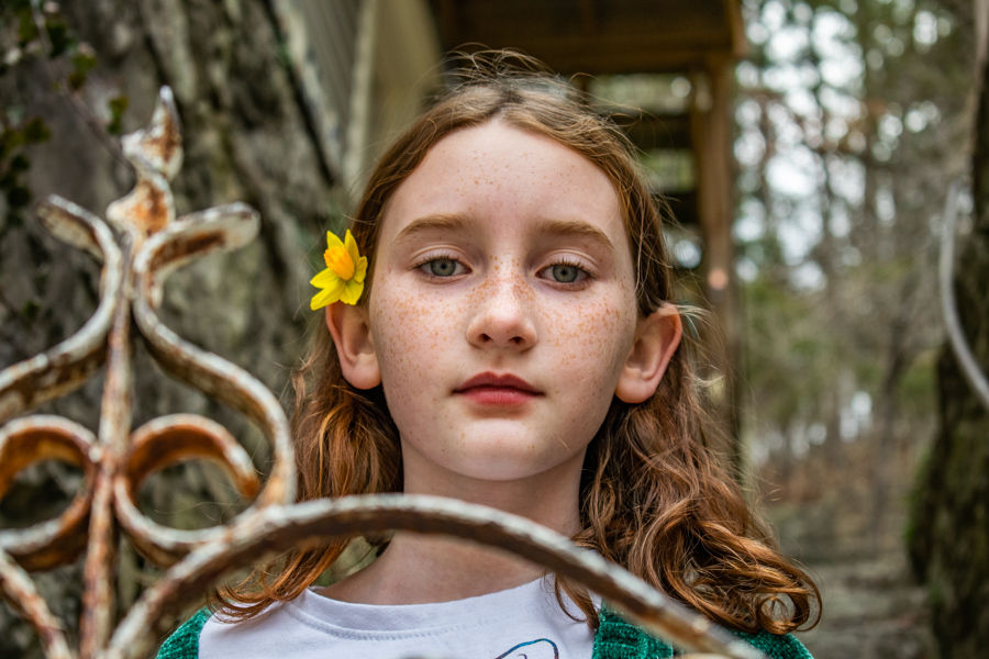 Rivendell Design - Web Design & Graphic Arts - Web Design